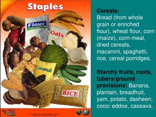 Meal Planning 101 | Nourish Caribbean
